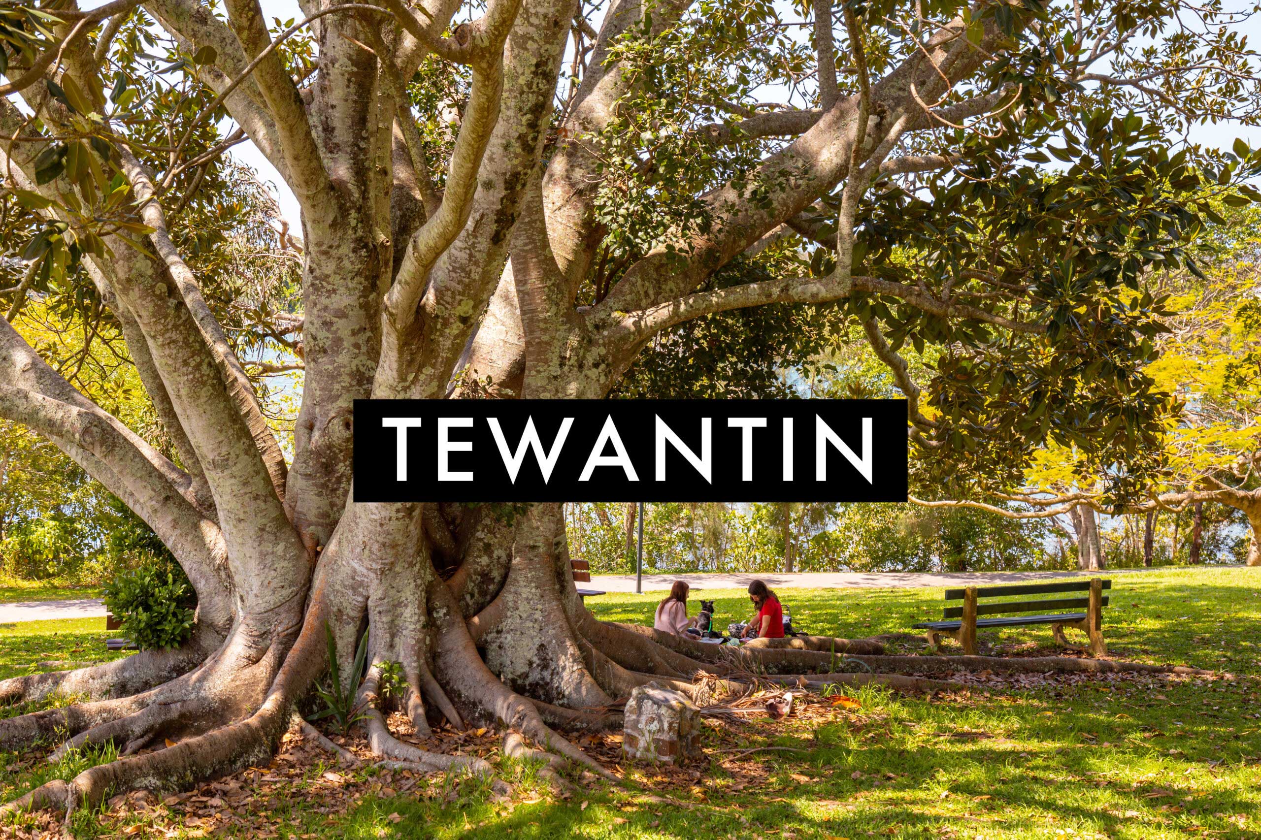Buyers Agent Tewantin | Local Noosa Property Buying Advice